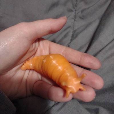 Orange Color Changing Slug Color Changing 3D Printed Slug 3D Print Desk ...