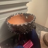 Chachayotes Ayoyotes Ayotl Coyoleras 100 Shells - Etsy