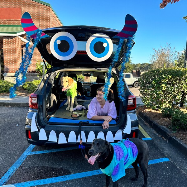 Sulley Monsters Inc 3D Shirt, Big Green and Purple Monster Costume ...