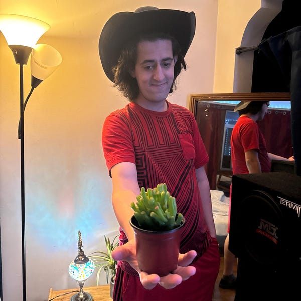 Gollum Jade Succulent 'shrek Ears' - Live Plant Decor (2"/4" Pot) - Etsy