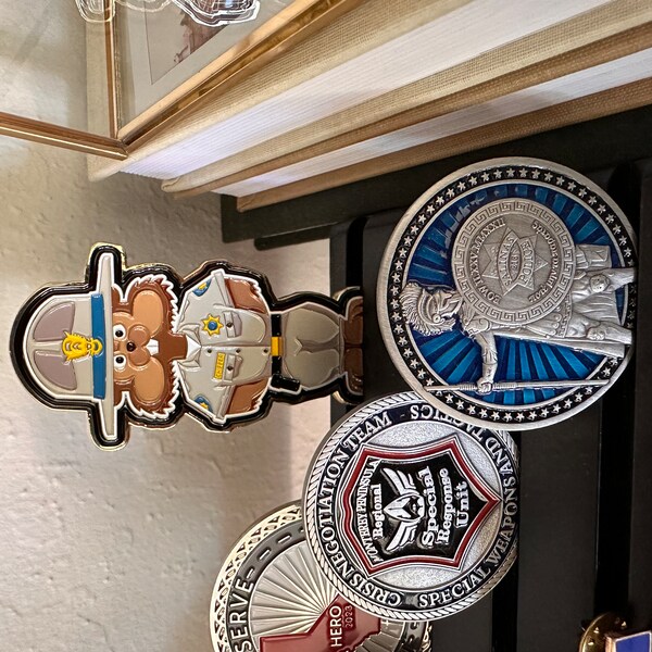 CHP Central Division Challenge Coin - Etsy