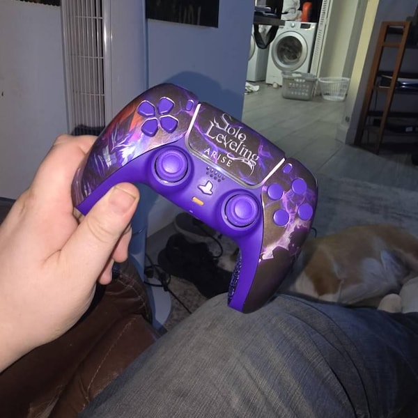 Transparent Clear DPAD - White Accents - Custom Joycons for the Nintend ...