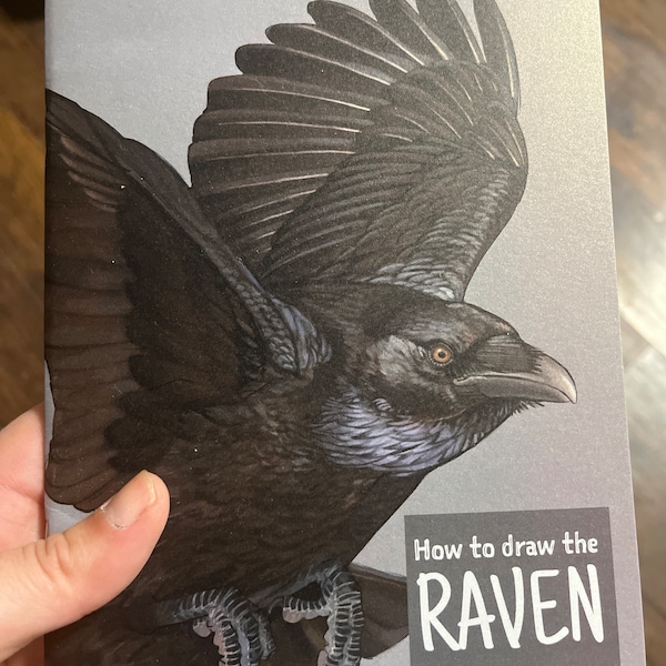 How to Draw Ravens: Anatomy and Wings - Etsy UK