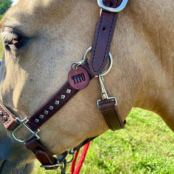 Personalized Leather Horse Halter Name Tag, Equestrian Accessory - Etsy