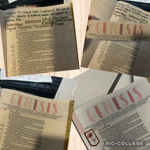 Queen Esther, Bible Journaling Stickers Printable, Queen of Persia ...