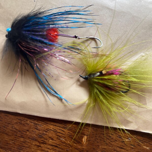 Single Stage Intruder - Etsy