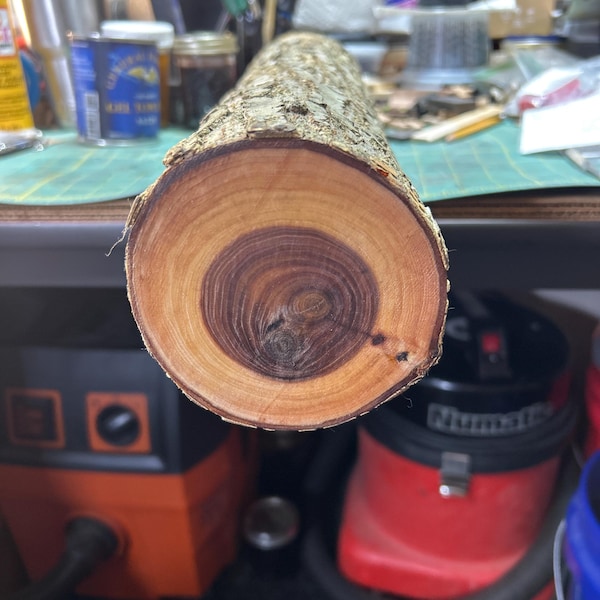 Honey Locust Project Log, Green Project Wood for Woodworking, Wood ...