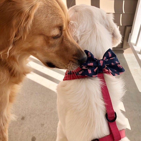 Birthday Dog Bow, Birthday Dog Bow Tie, Dog Collar Bow, Dog Collar Bow ...