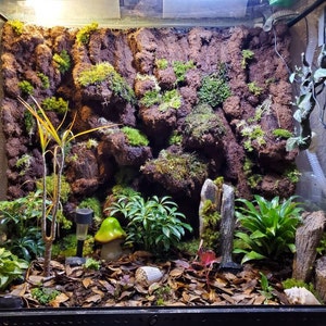 Moss, Rock Cap Moss, Terrariums, Crafts, Miniatures, Fairy Gardens ...