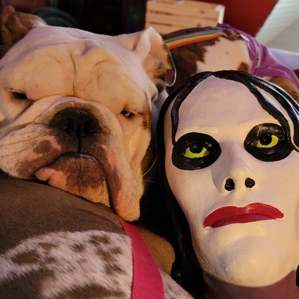 Vintage Topper Toys "go-gos" Character Dolls Set of 7 From 1960s - Etsy