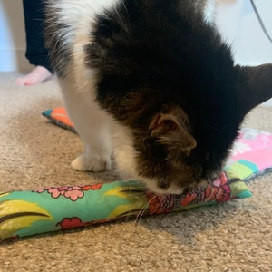 Pea Paw'd Cat Nip Pea Pod Toy - Etsy