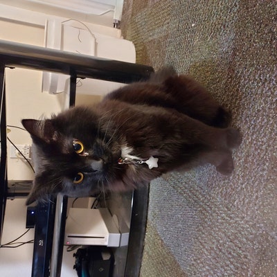 Josh Compass Necklace Viking Norse Rustic Manly Pendant - Etsy