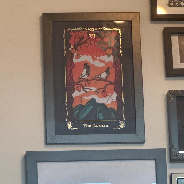 Occult Ornithology Tarot Deck and Guide Majors Only Deck Celebrating ...