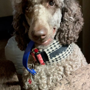 MD Dogs Bringsel, Alert Bringsel, 1/2 or 5/8 Wide Biothane Waterproof ...