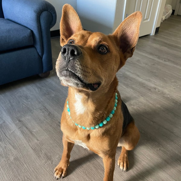 Easter Beaded Dog Collar, Fancy Cat Necklace, Waterproof Dog Collar ...