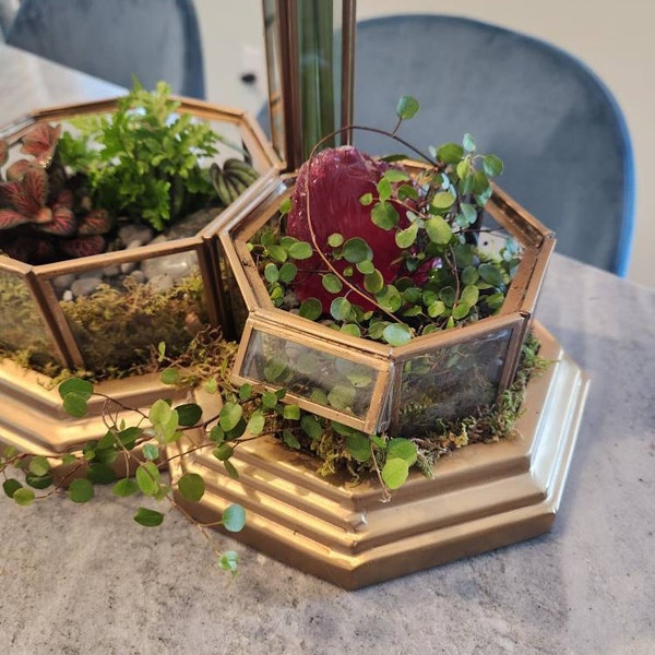 Deluxe Republic Credit Set - Etsy