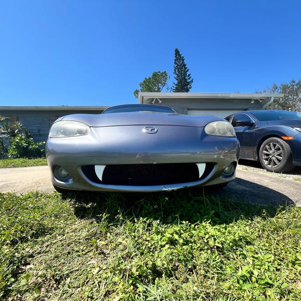 Universal Car Vampire Teeth / Bumper Fangs / Halloween Car Decoration ...