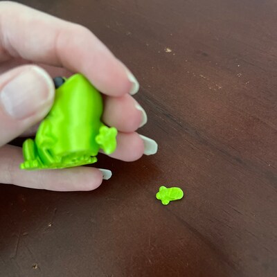 Fidget Frog Fidget Toy, Articulated Sensory Toy, Tiny Frogs, Flexible ...