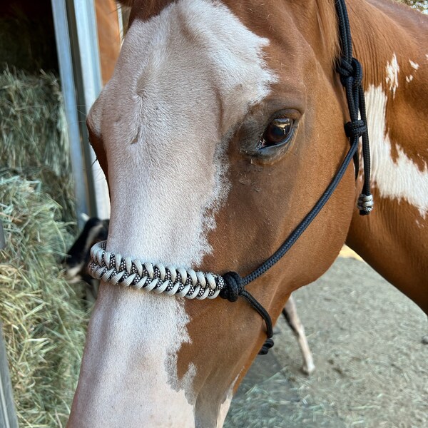 Custom Halter and Mecate Rein Set, Custom Mecate Reins, Mecate Training Set, Custom Yacht Reins ...