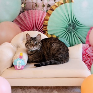 Baroque Cat Sofa, Chaise Lounge Pet, Dog Sofa Vintage Style, Cat Bed ...