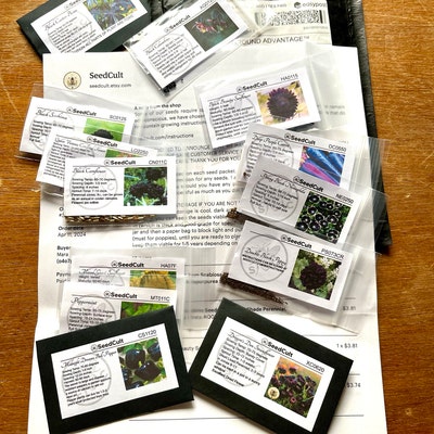 Billy Button Seeds, Craspedia, Billy Balls, Craspedia Globosa CD0150 - Etsy