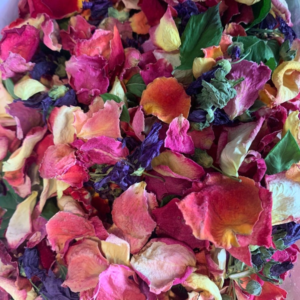 Biodegradable Confetti. Almost Rainbow Petals. Natural Confetti for All ...