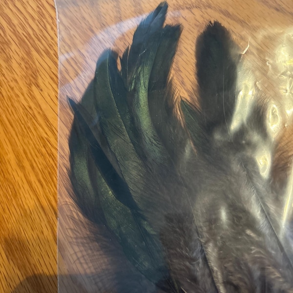 Miniature Feathers, a Bunch of Small Tiger Striped Feathers, Orange ...
