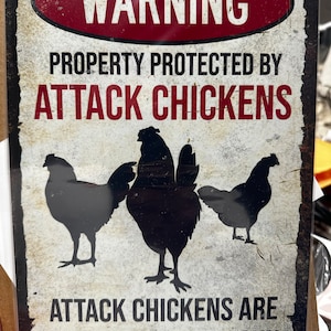 Chicken Coop Sign Attack Chicken Sign Guard Chickens on Duty Hen House ...