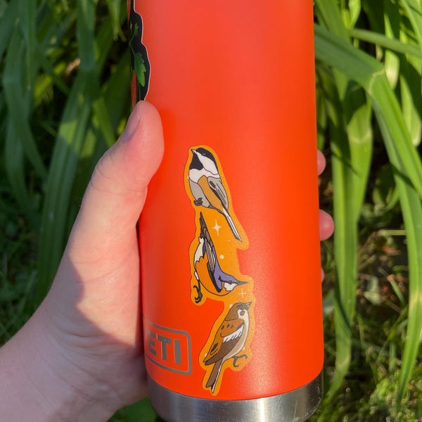 Pollinator Sticker Set, 3 Matching Waterproof Vinyl Stickers for Water ...