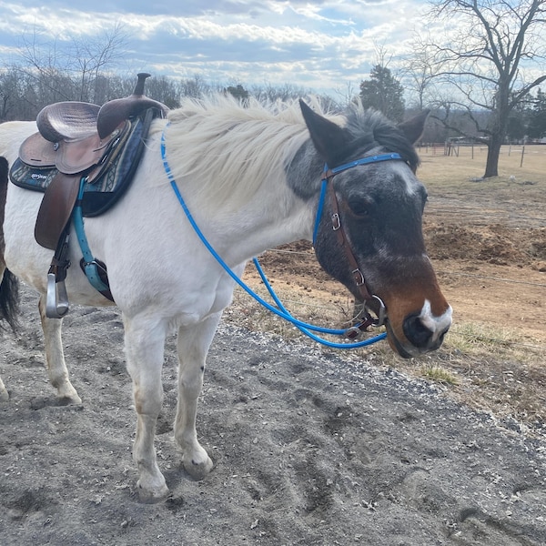 Yacht Rope Sport Mecate Reins W Poppers! Use With Slobber Straps ...