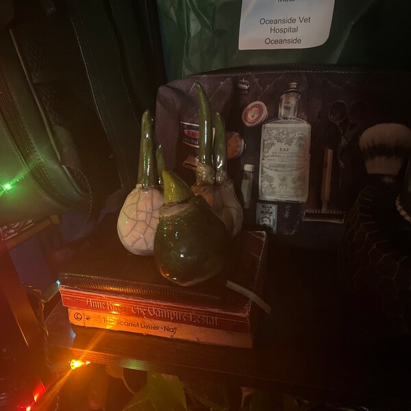 Handmade Barnacles, Ceramics, Porcelain, Barnacles, Ceramics, Handmade ...