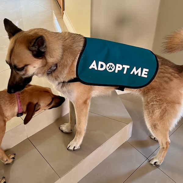 Adopt Me Dog Jacket Vest - Etsy