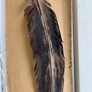 OLD GLORY Cowboy Hat Feather With New Style Beaded Sinew Wrap | Etsy