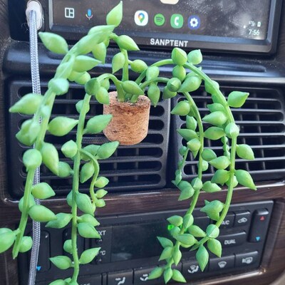 DAYDREAMER CAR CHARM Car Charm Rear View Mirror Charm Car Accessories ...