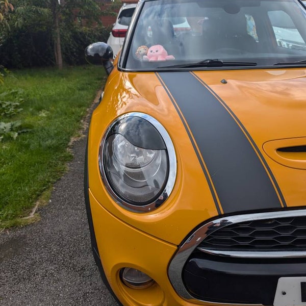 Gen 3 Mini F55, F56, F57 Grille Strut Crash Bar Wrapping Kit - Etsy