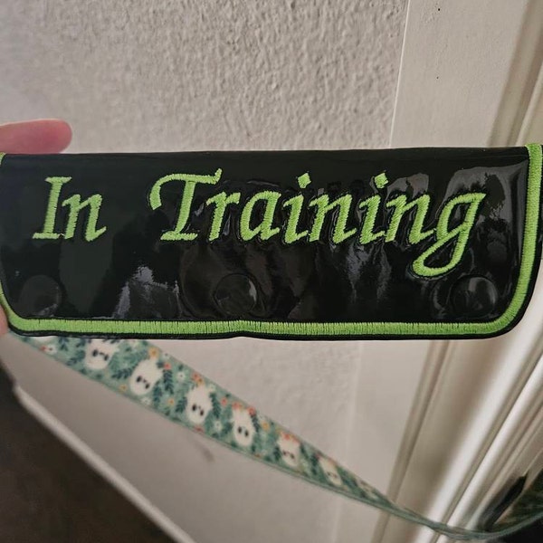 Personalized Holographic, Glitter, Shinny Leash Wraps, Custom Leash ...