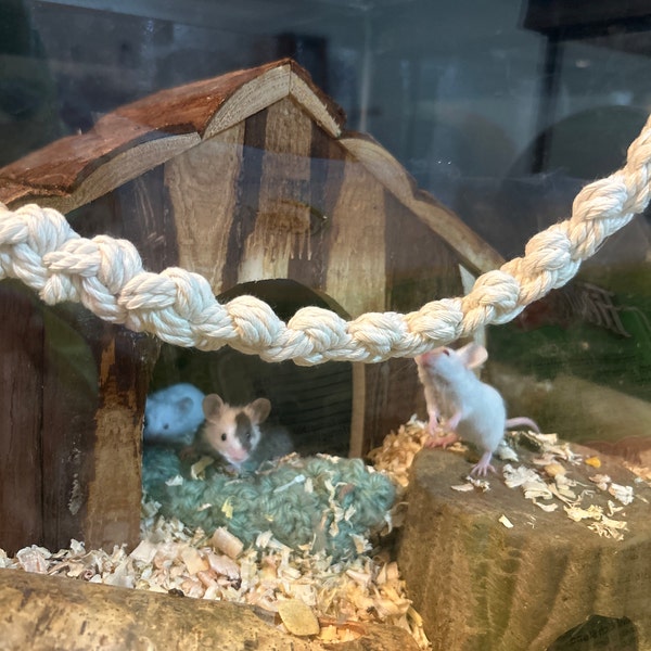 Mouse Climbing Rope - Etsy