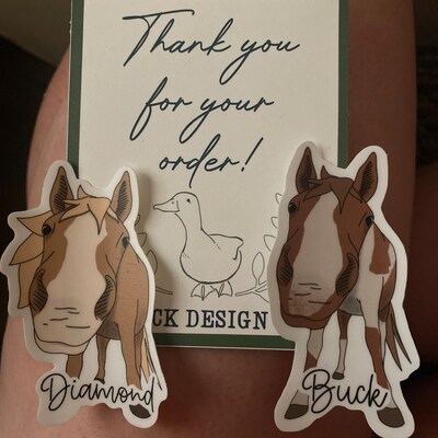 Customizable Animation Horse Sticker Personal Decal Cartoon Horse Gift ...