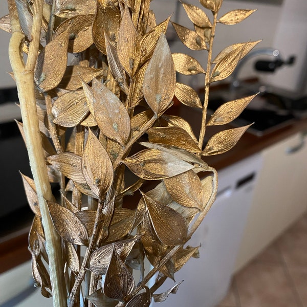 FANTASTIC! Preserved GOLDEN Italian Ruscus Bunch - Wedding Decoration ...