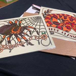 Cornsnake Morph Posters - Etsy