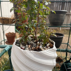 Medium Twisted Flower Pot for Plants of All Kinds white - Etsy