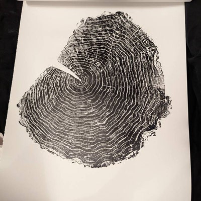 Western Red Cedar, Tree Ring Print, Black and White Tree Ring Print ...