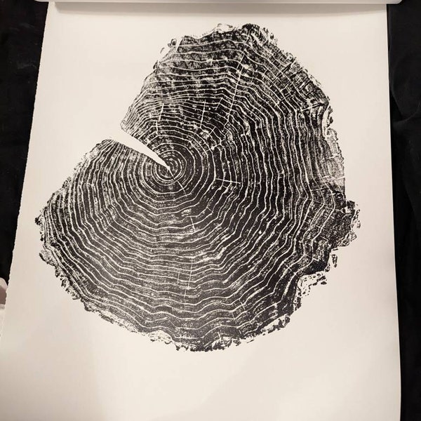 Western Red Cedar, Tree Ring Print, Black and White Tree Ring Print ...