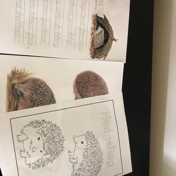 Flowers Mini Study Unit: Life Cycle & Anatomy (instant Download) - Etsy