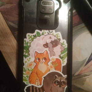 Cute Raccoons Sticker Set - Etsy