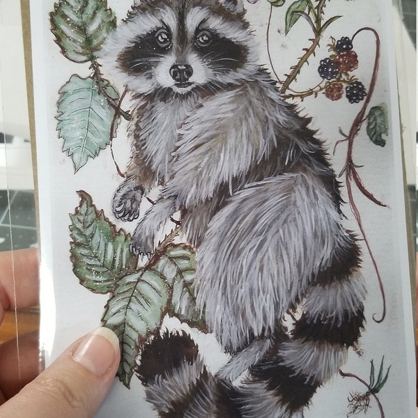 Raccoon Print - Raccoon Watercolor, Raccoon Wall Art, Raccoon Art Print ...