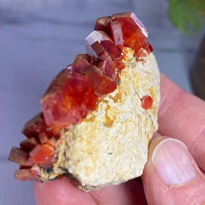 Desert Rose Mineral Specimen From Mexico, Gypsum Rock Rose, Selenite ...