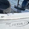 Graphic Kit Boat Decals Compatible With Bowrider Boat Sport Stripes ...