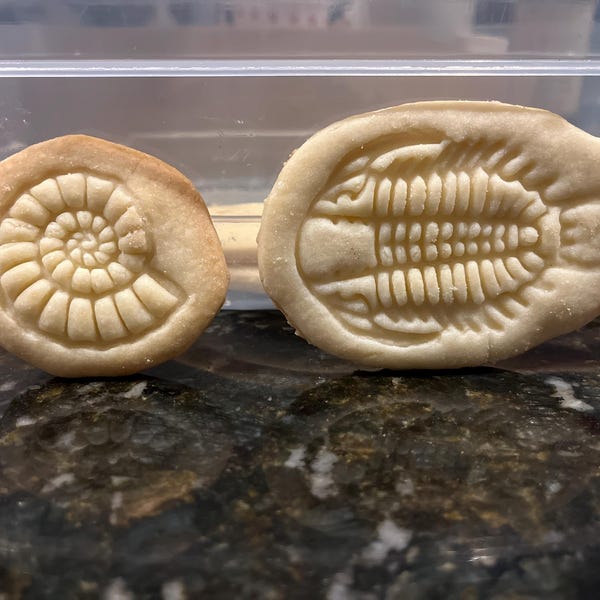 Meiosis I Telophase I Cookie Cutter | Bakerlogy Biscuit Cutters Cell ...