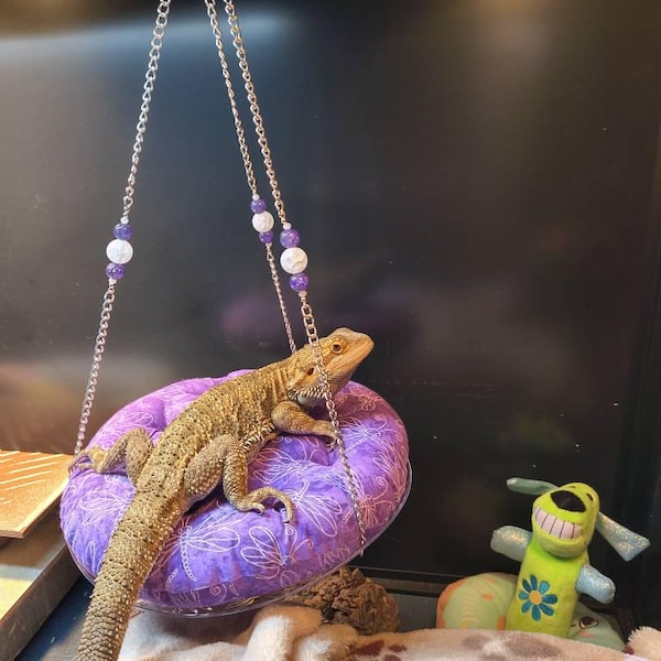 Bearded Dragon Lizard Pillow Swing; Papasan Style, Multiple Sizes ...